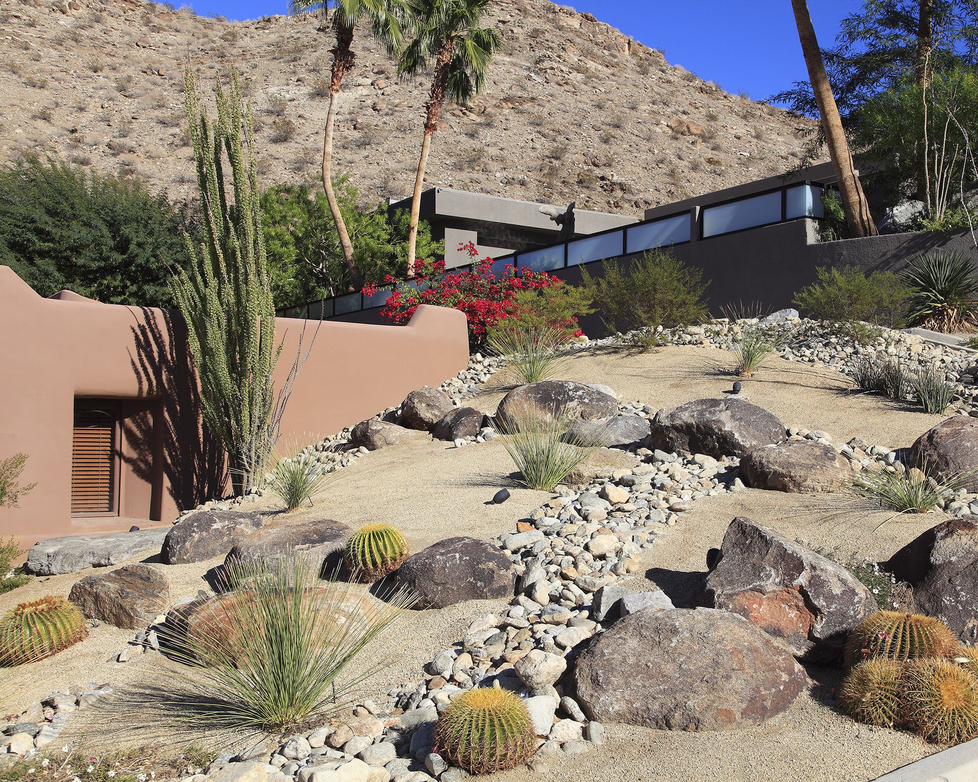 Landscaping with cactus: 9 ways to add color and structure | Gardeningetc
