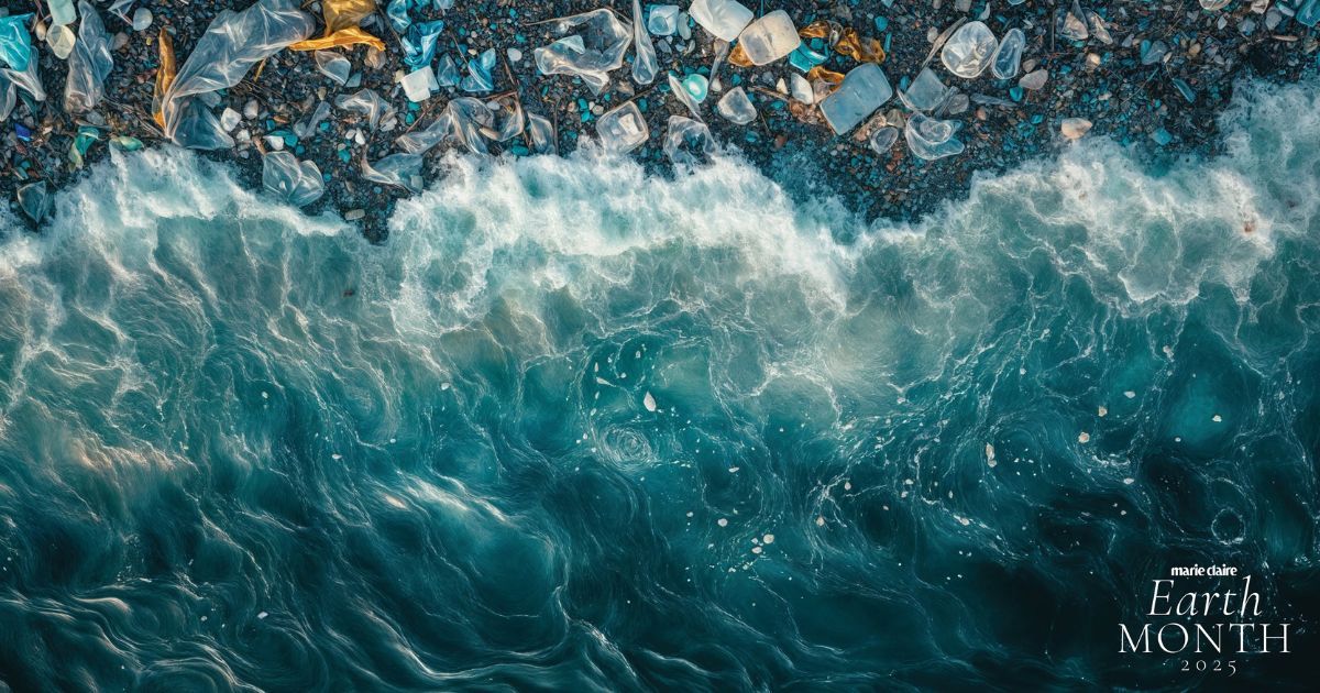 What Are Microplastics? Your Guide, Plus How To Avoid Them | Marie ...
