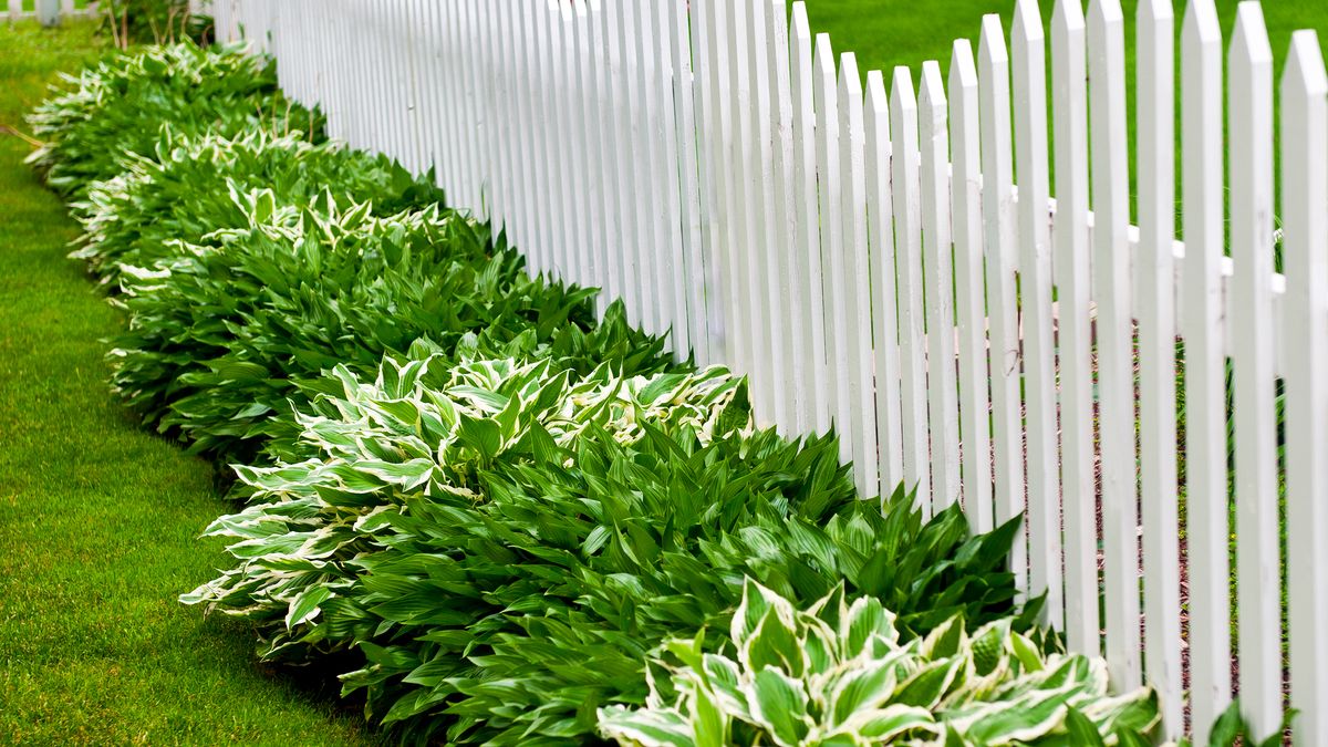 Small Fence Ideas to Zone, Divide and Define Your Garden | Homebuilding