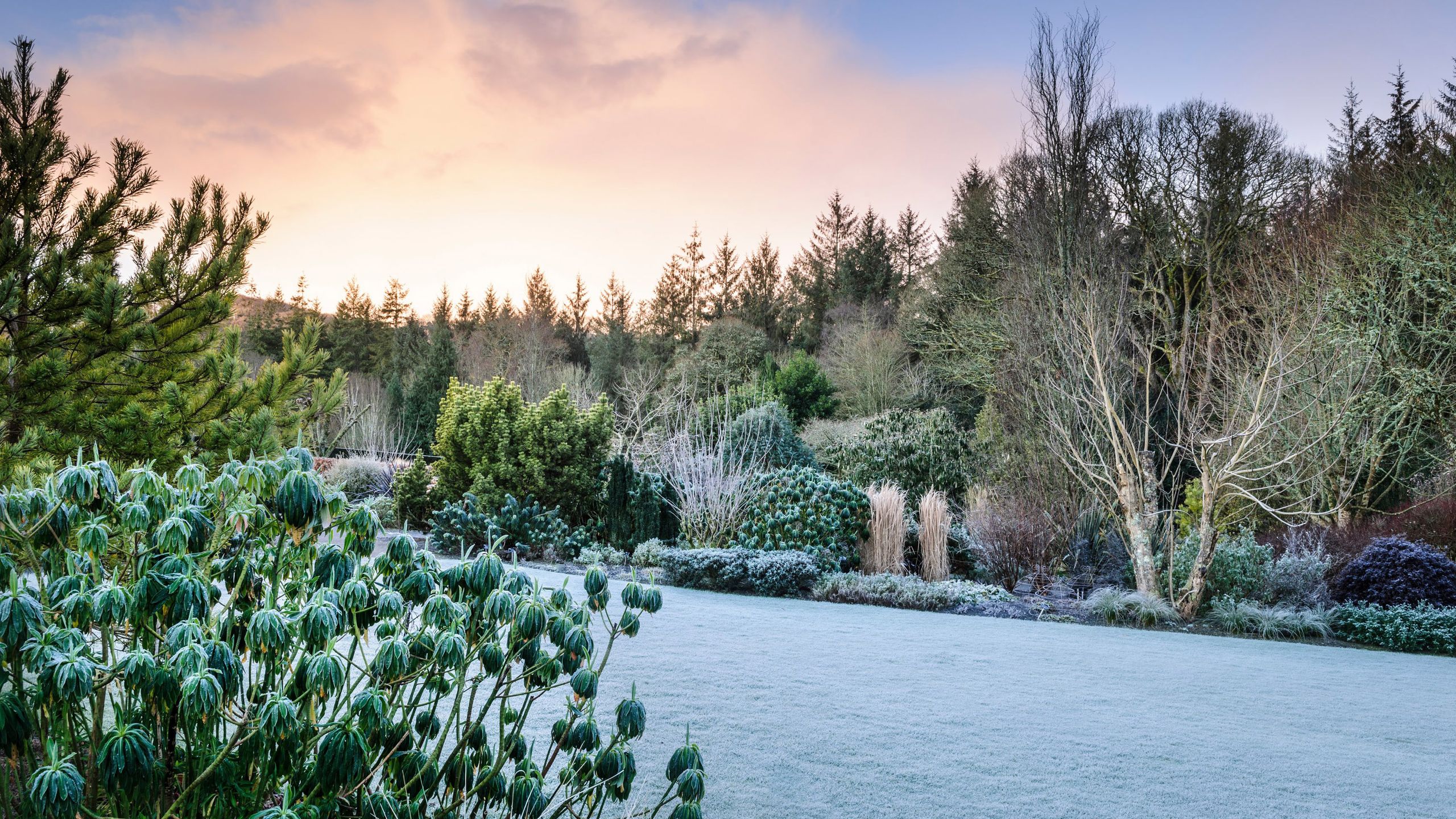 Winter jobs in the garden: 21 cold-weather chores that take care of ...