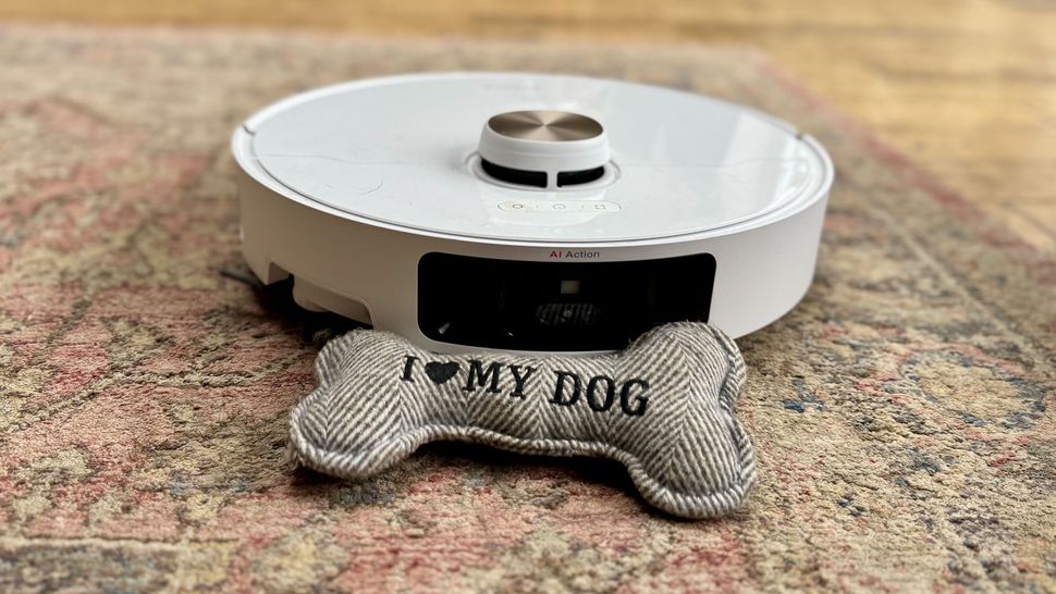 The best robot vacuum for pet hair 2025: reviewed by experts | TechRadar