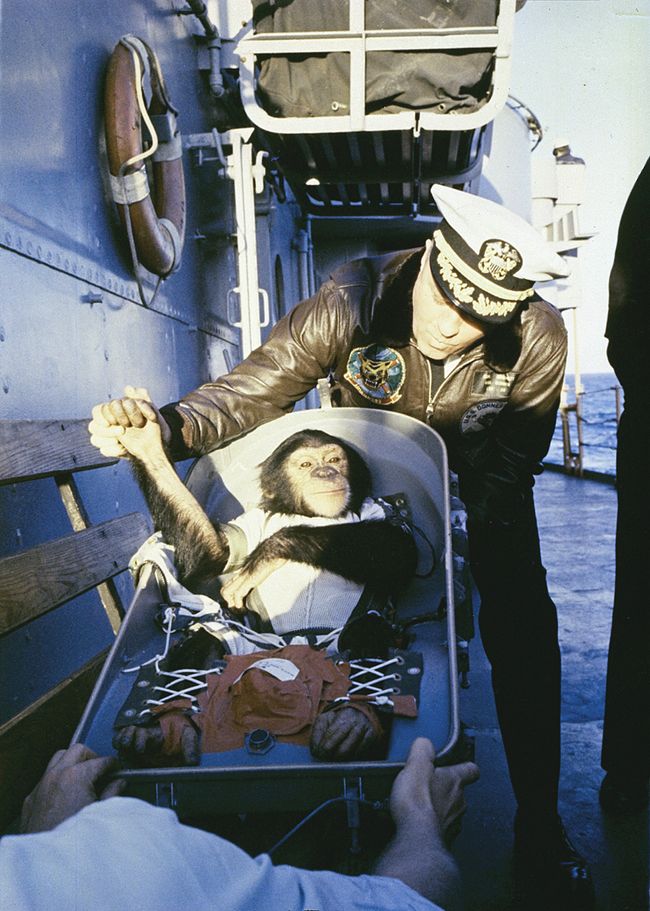 Space History Photo: Ham, The First Space Chimp | Space