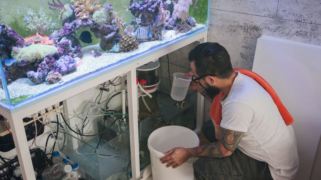 How to fix a leaking fish tank with or without draining | PetsRadar
