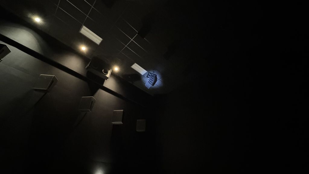 I watched Inside Out 2 at a Samsung Onyx LED cinema and now my local ...