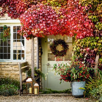 32 front garden ideas to spruce up your home, from paving inspiration ...