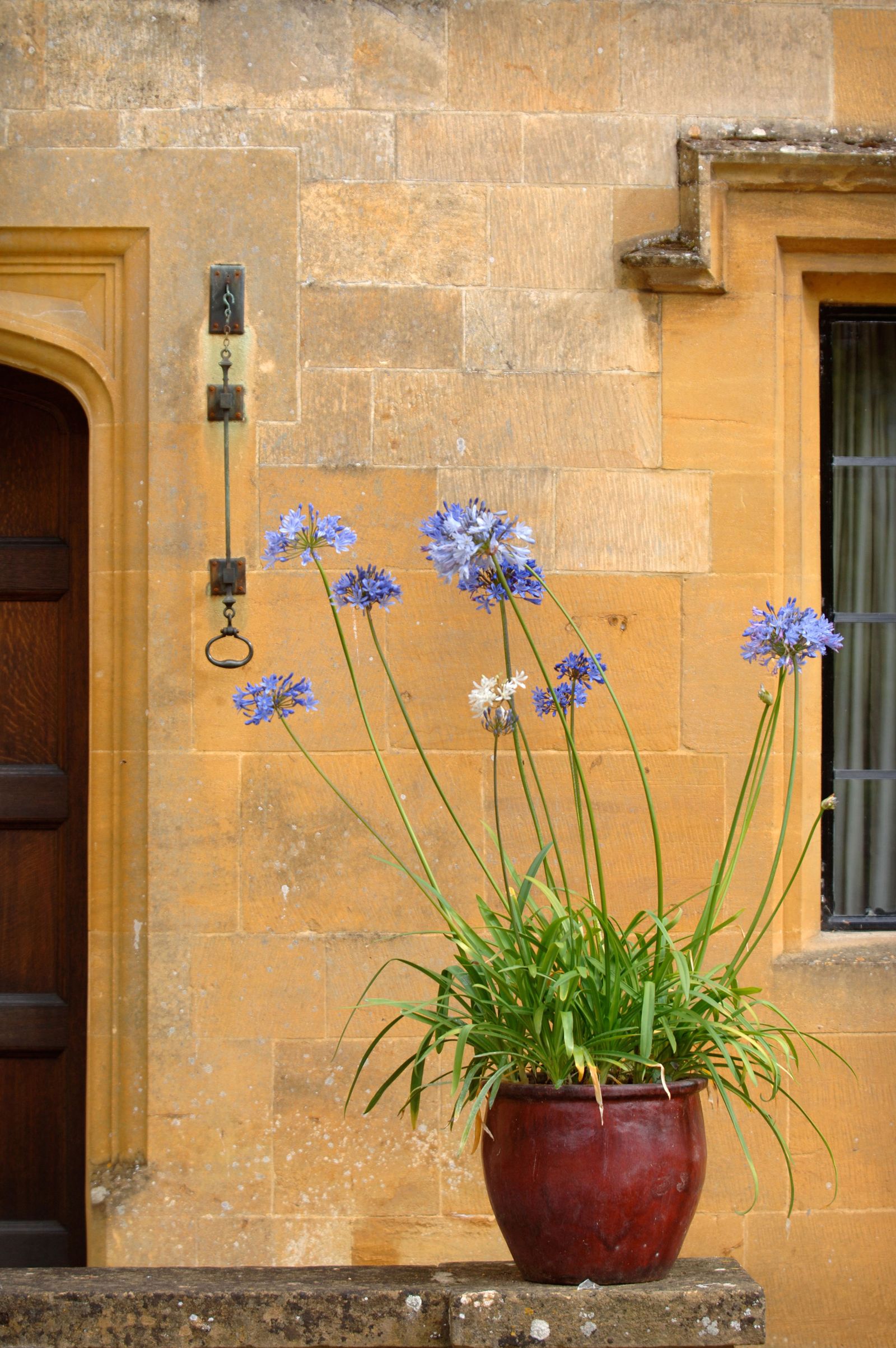 Mediterranean garden ideas: 14 gorgeous ways to plant and style your ...
