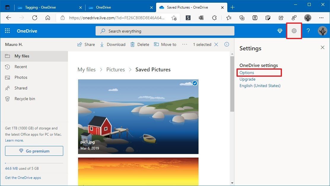 How to disable auto-tagging for pictures in Microsoft OneDrive ...