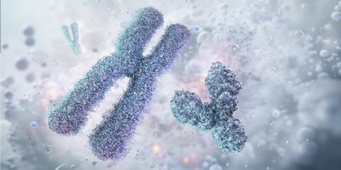 Why are men taller than women, on average? | Live Science