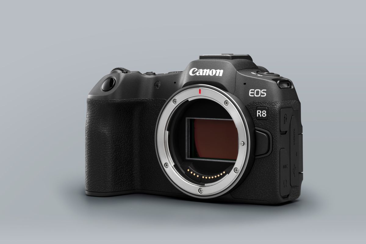Canon R8 vs RP: the new EOS R8 or old EOS RP which is best for you ...