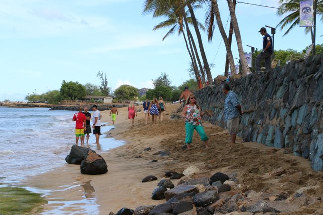 In Photos: Petroglyphs Discovered in Hawaii | Live Science