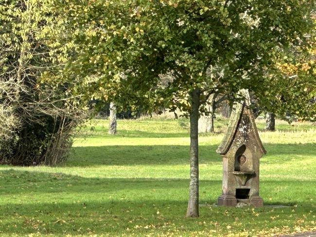 Optical zoom vs. digital zoom: which is better for you? | Tom's Guide