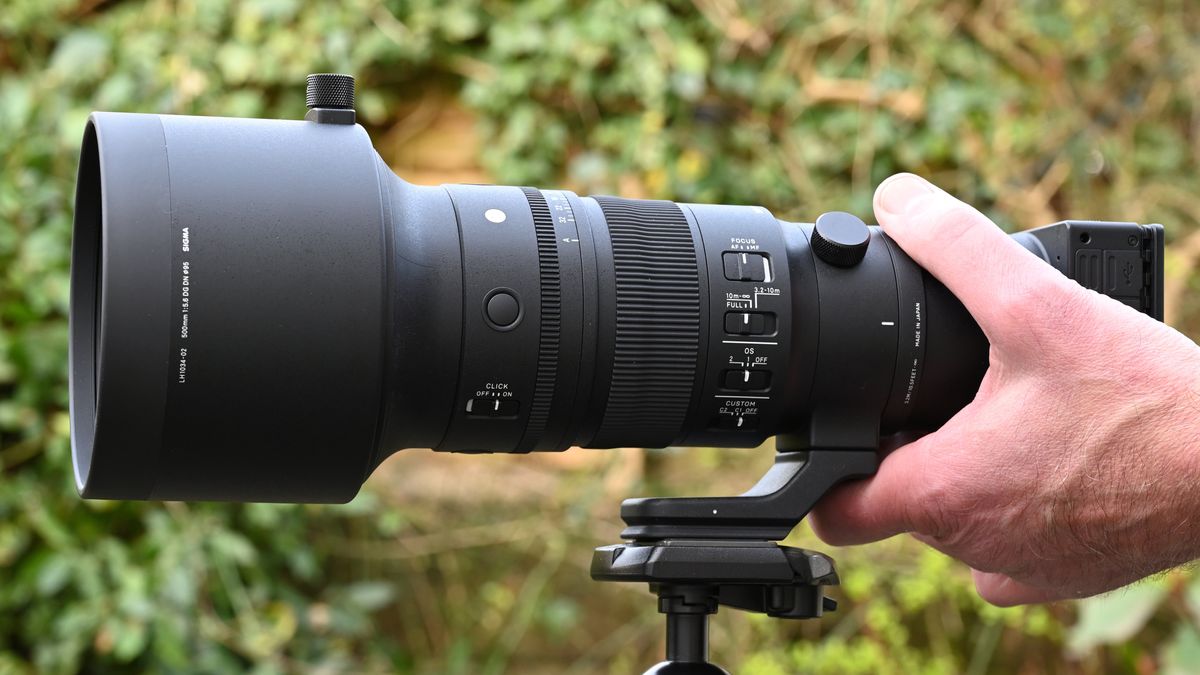 Sigma 500mm F5.6 DG DN OS Sports review: he ain’t heavy, he’s a super ...