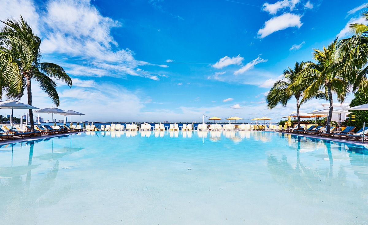The 9 best pools in Miami to dip your toes into | Wallpaper
