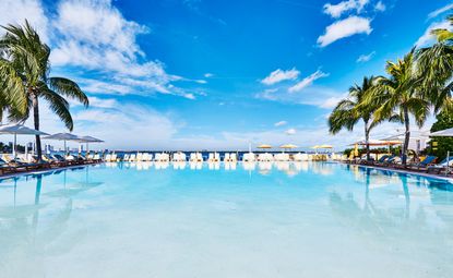 The 9 best pools in Miami to dip your toes into | Wallpaper*