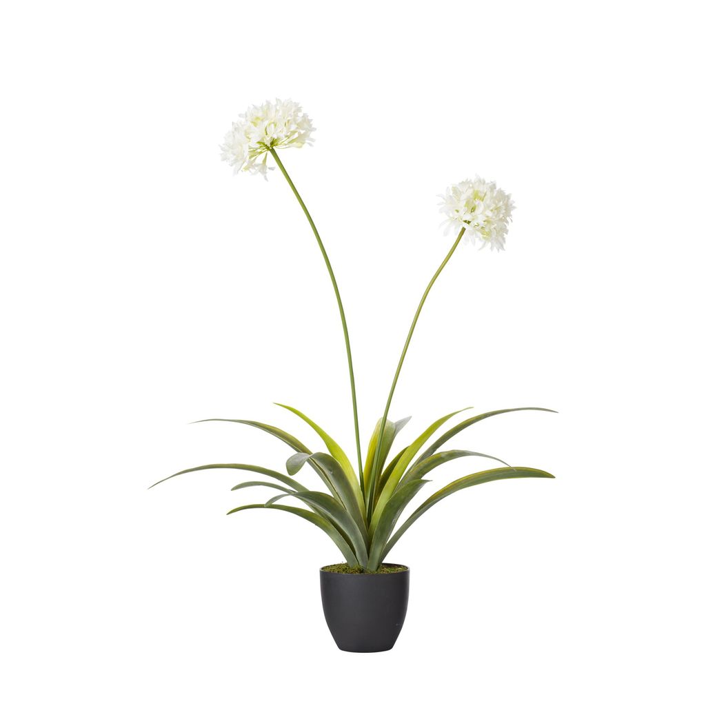 Meg Ryan's 'dramatic' kitchen makeover is absolutely stunning | Homes ...