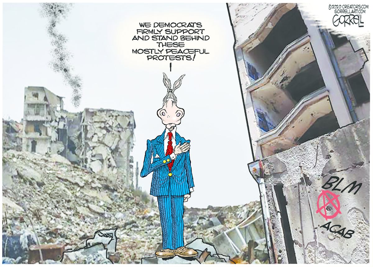 Political Cartoon U.S. Democrats protests | The Week