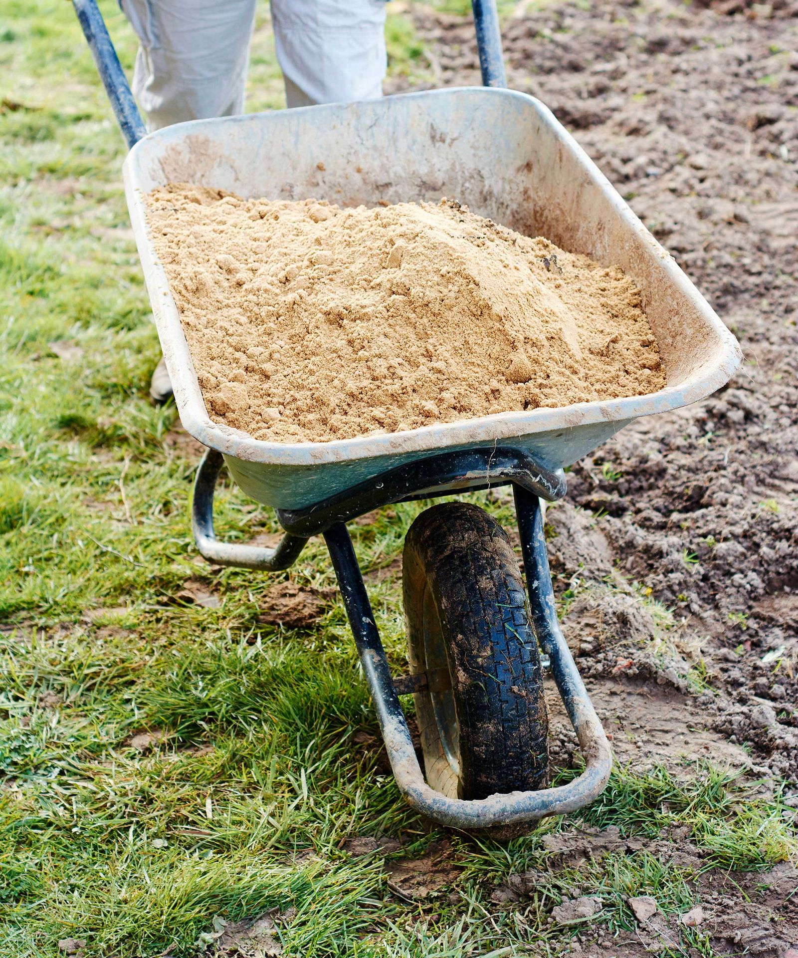 How to grow plants in sand instead of soil: expert advice | Homes and ...
