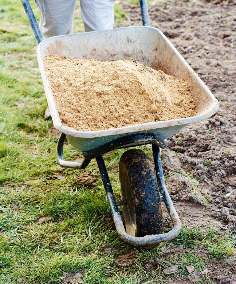 How to grow plants in sand instead of soil: expert advice | Homes and ...