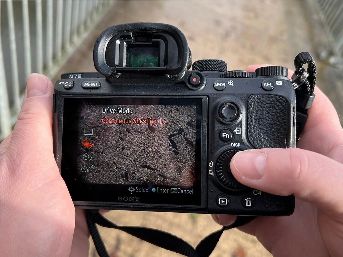 Freeze the motion in your images with this step-by-step tutorial ...