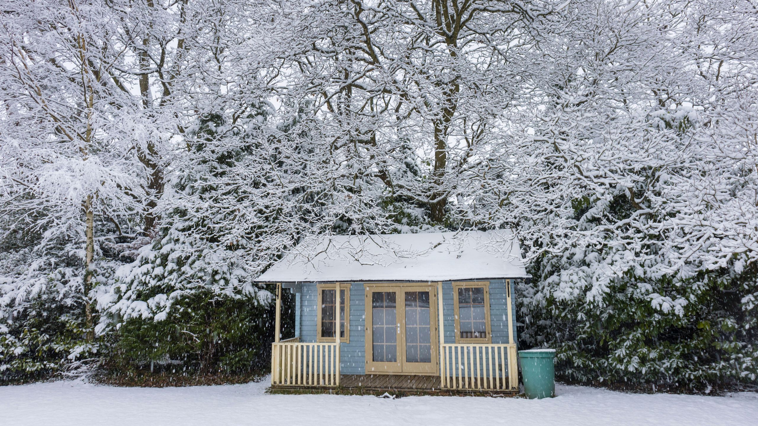 Experts share winter shed tip to protect it from moisture | Gardeningetc