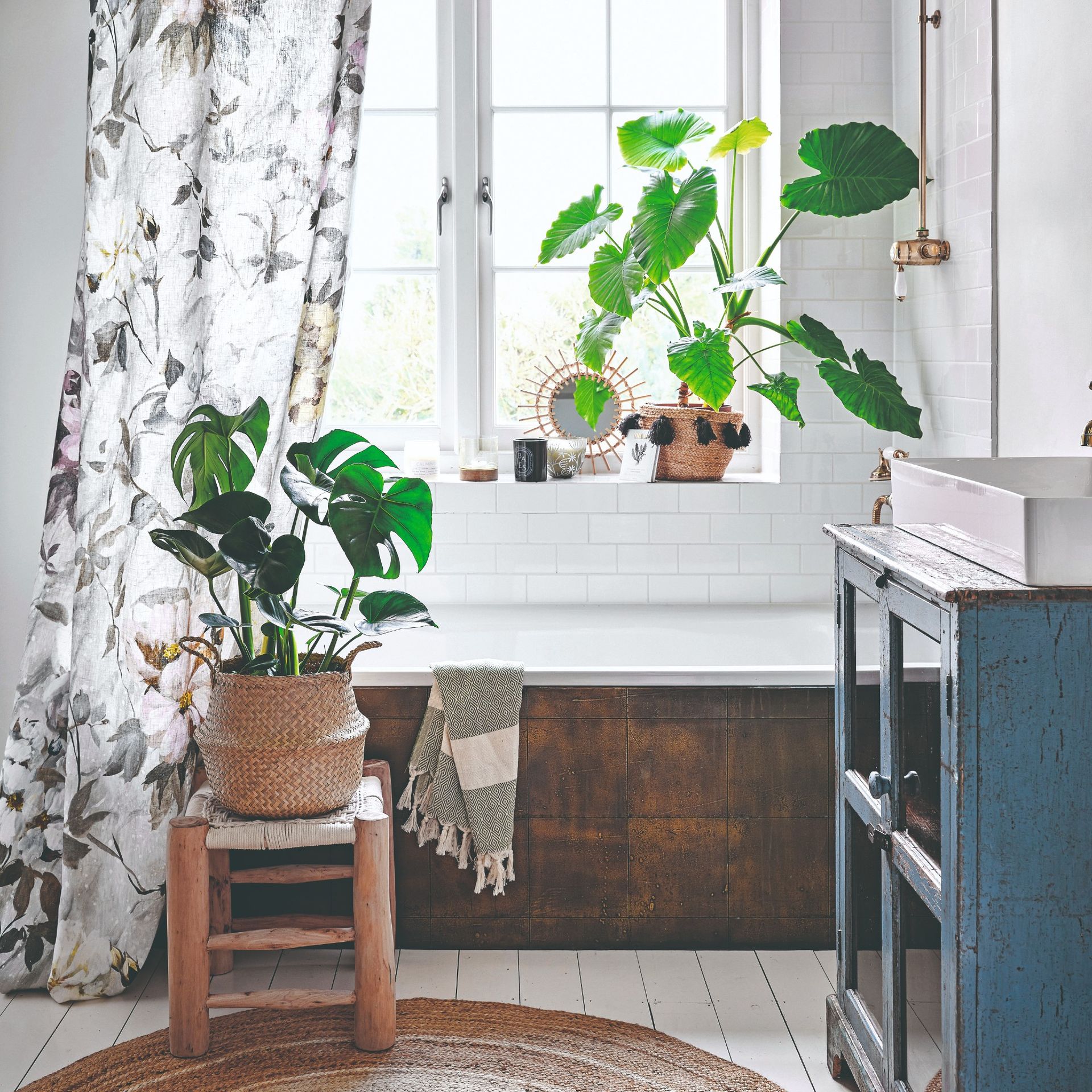 Cara menyebarkan Monstera dan membuat tanaman Anda sendiri yang kuat ...