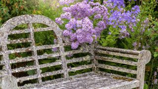 11 beautiful ideas for awkward-shaped gardens | Homes and Gardens