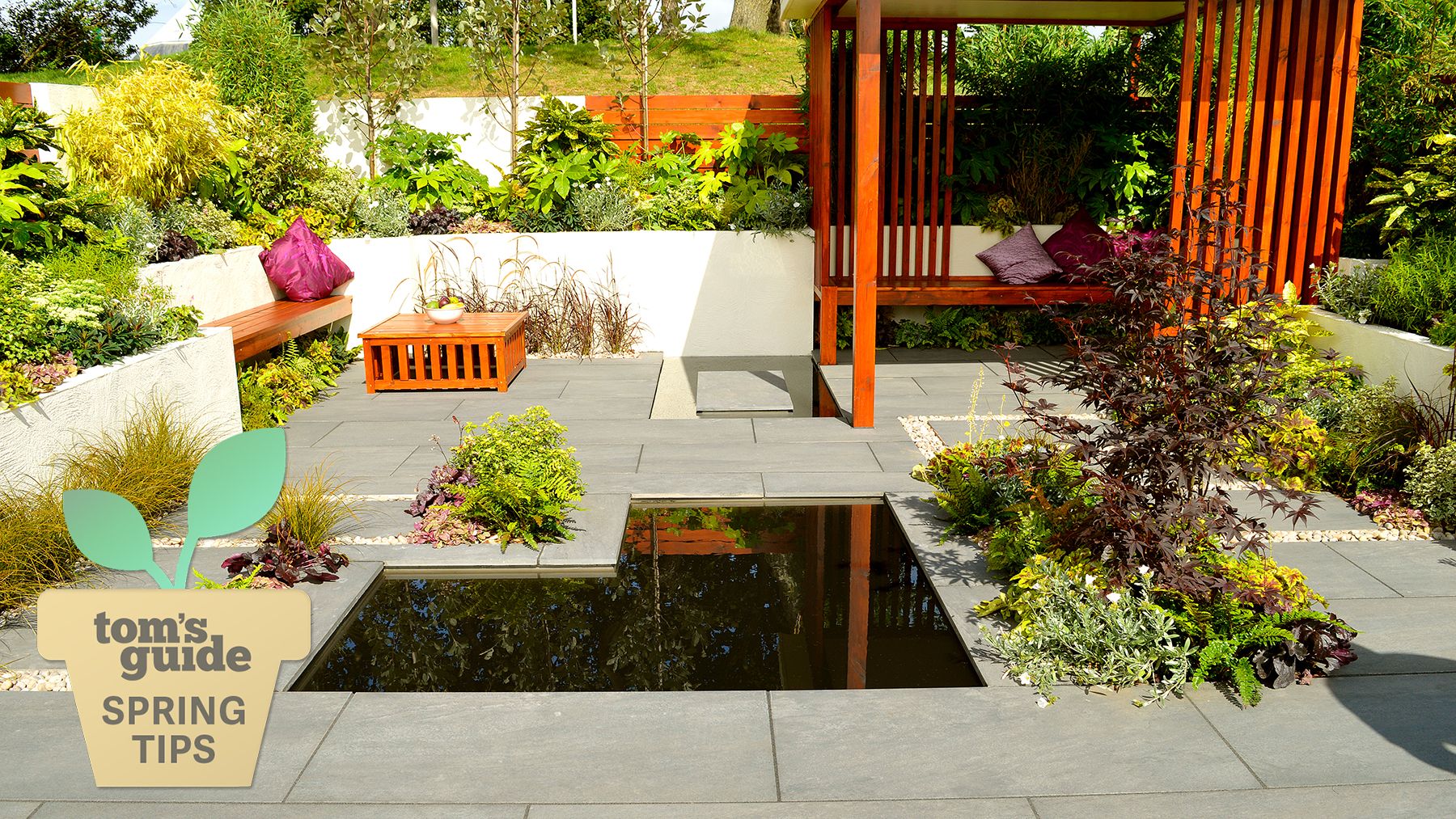 How to create a low-maintenance garden according to a landscaping ...
