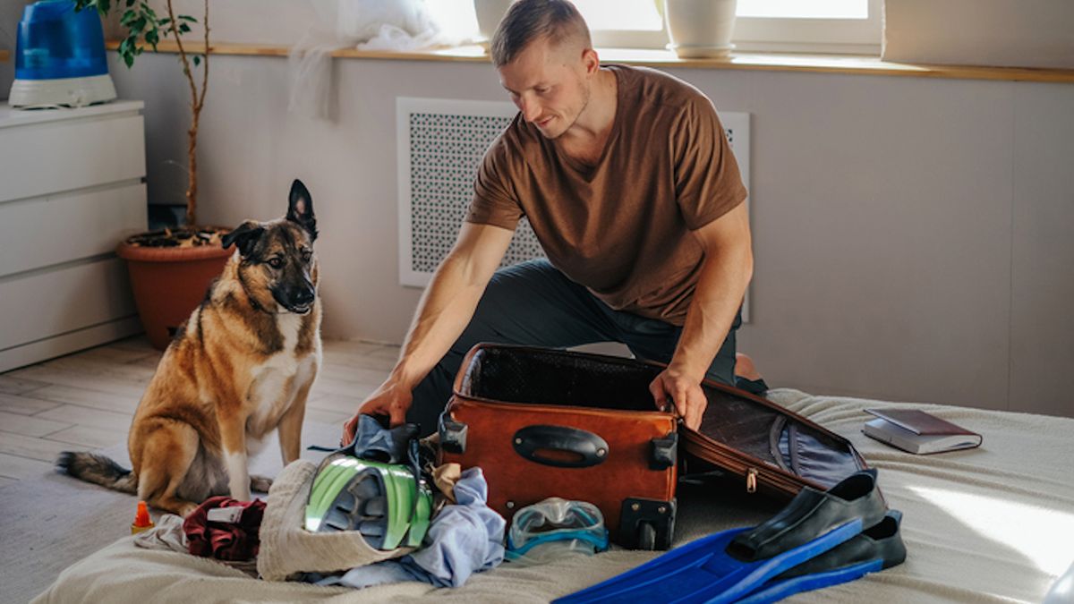 32 tips for traveling with pets | PetsRadar