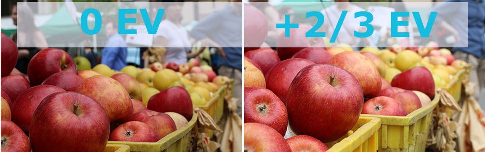 Canon EOS 70D DSLR: 7 Tips for Great Pics | Tom's Guide