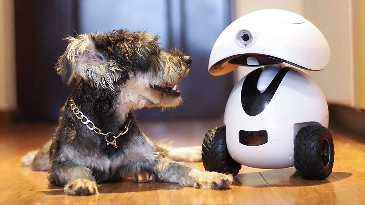 Enabot EBO Air review: The friendly neighborhood camera-bot | iMore