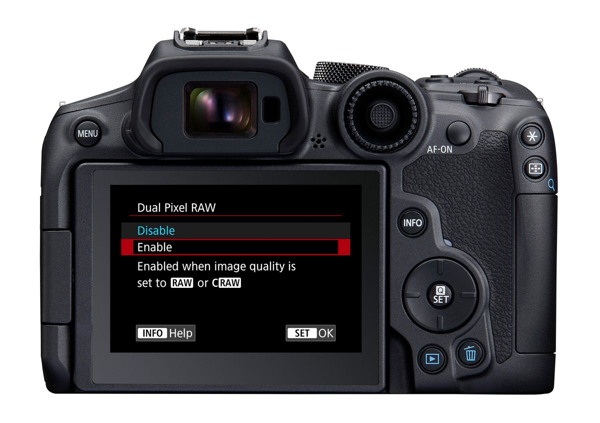 How to process Dual Pixel Raw images in Canon's free Digital Photo Pro ...