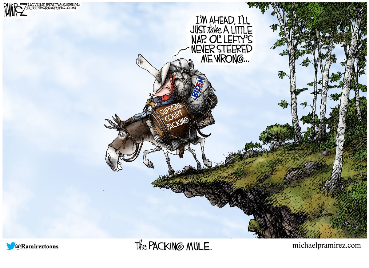 Political Cartoon U.S. Democrats court packing | The Week