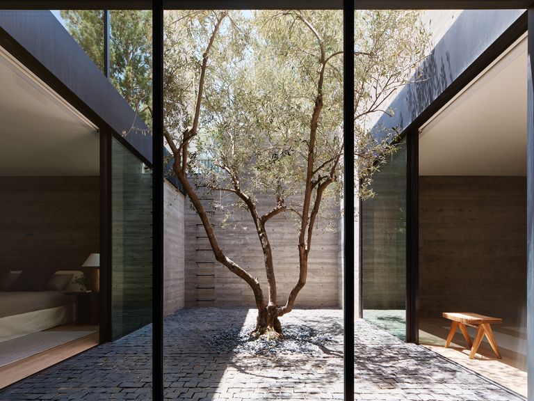 Woods + Dangaran’s Carla Ridge celebrates Los Angeles living | Wallpaper*