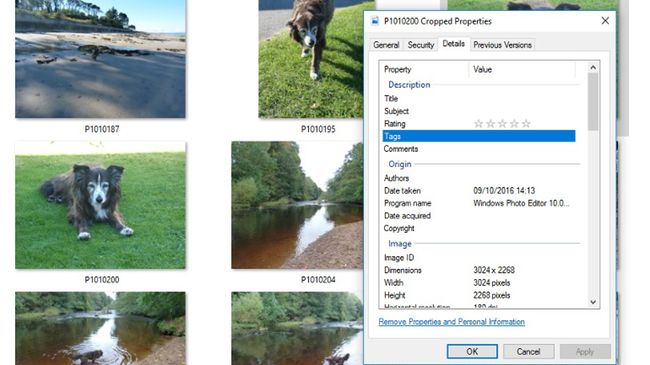 100 common Windows 10 problems and how to solve them | TechRadar