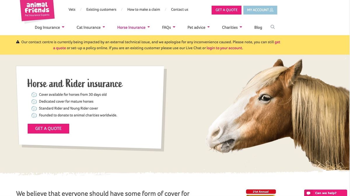 Get the best equine insurance for the most expensive friend in your ...