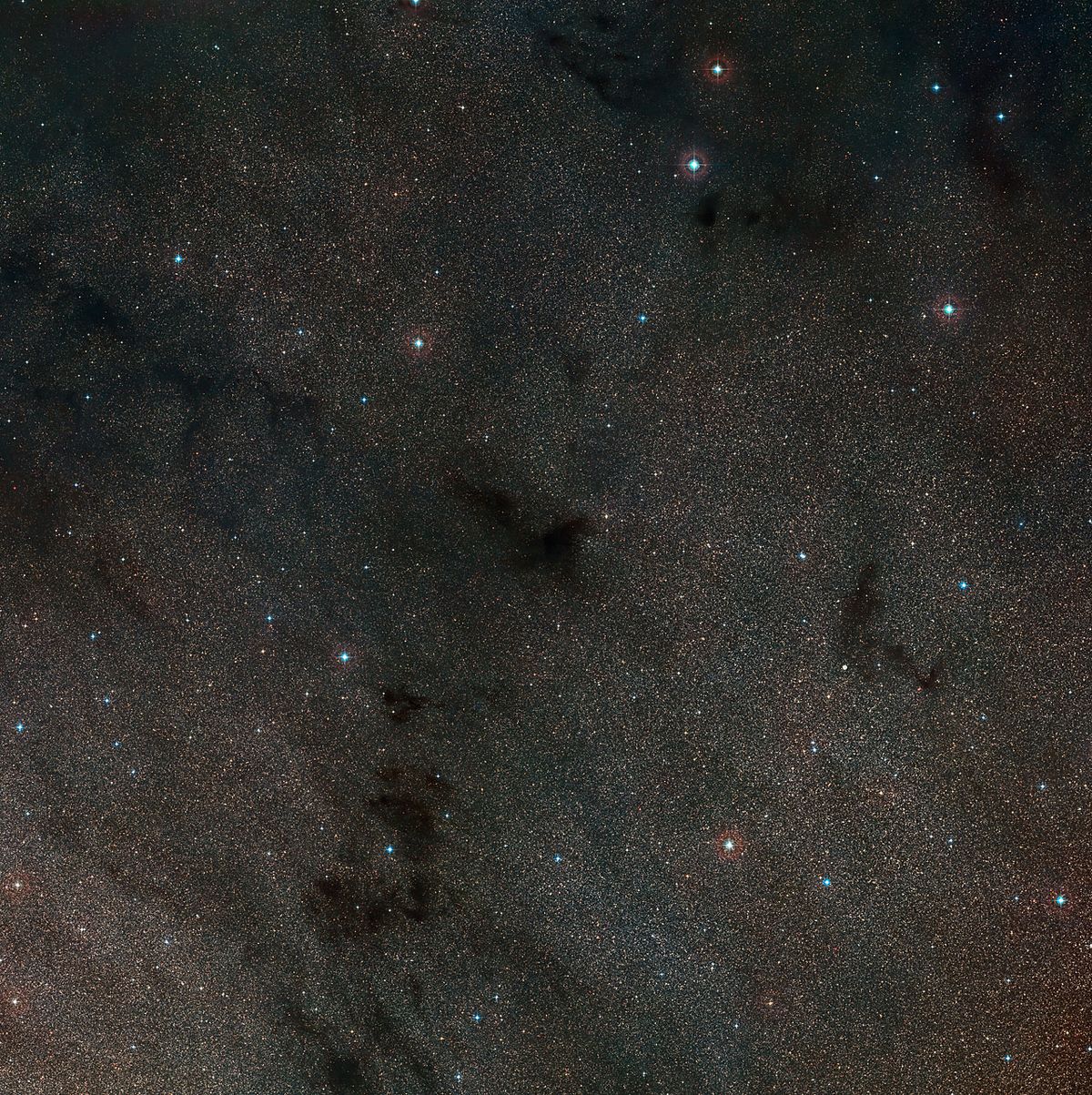 'Dark Nebula' Hides Hundreds of Baby Stars (Photo, Video) | Space