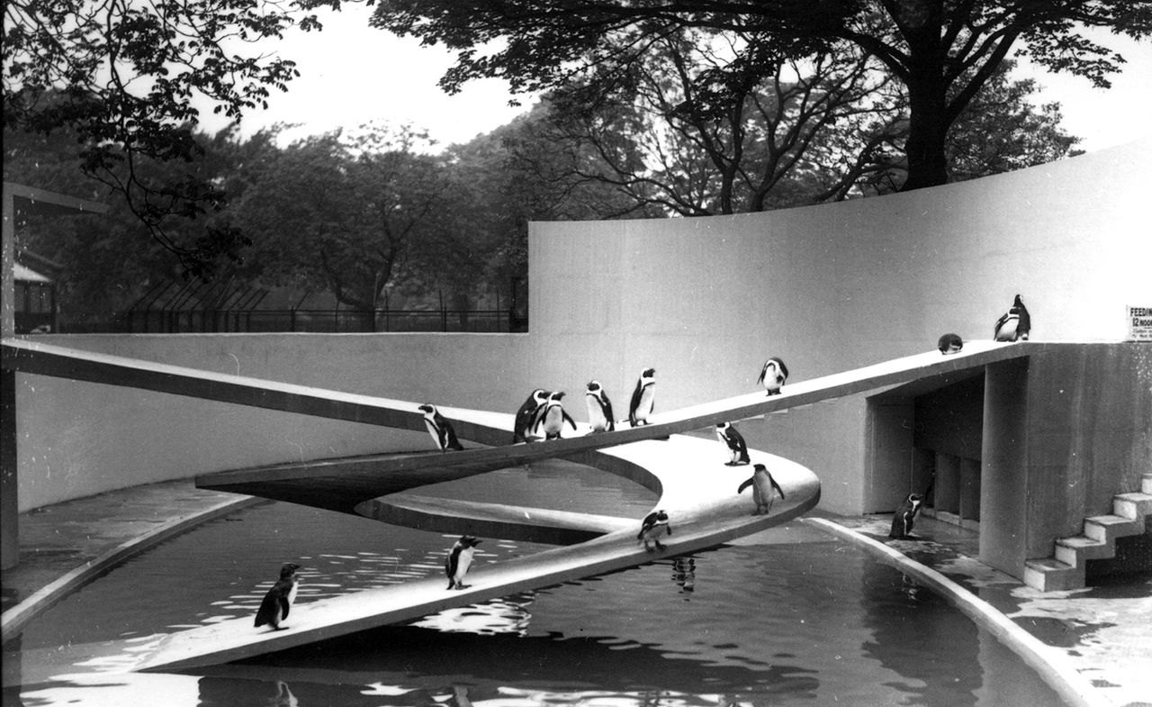 The V&A celebrates the work of Ove Arup with a new show | Wallpaper*