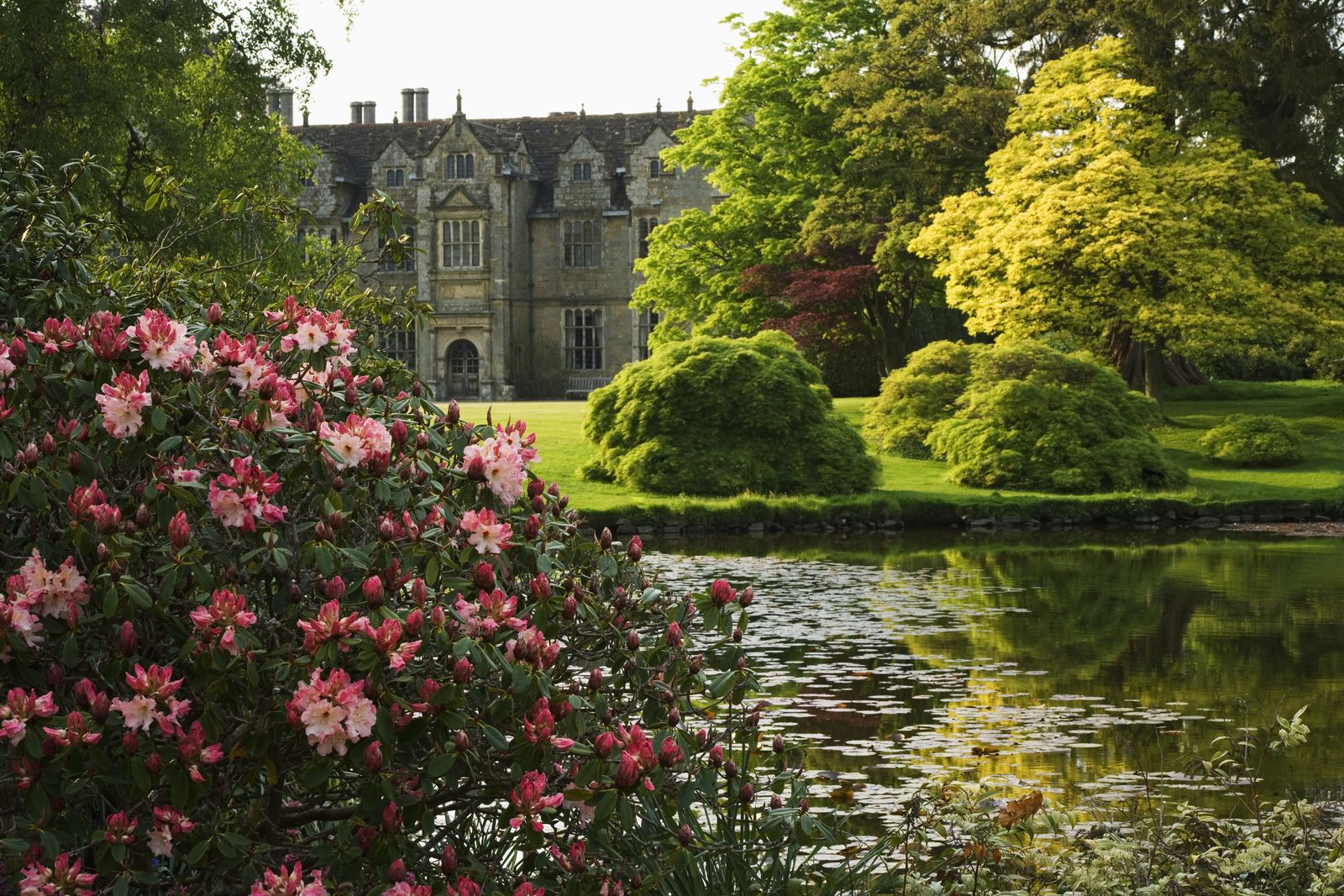 Wakehurst: 500 years of history, 2.4 billion seeds, 500 acres of ...