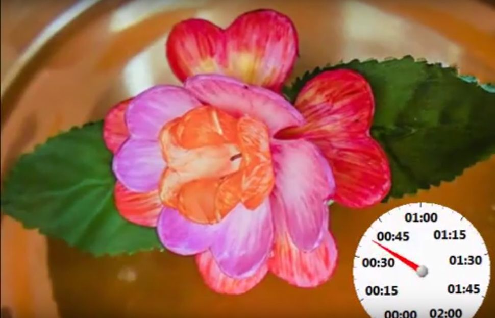 New Shape-Shifting Materials Let Biomedical Implants Morph Over Time ...