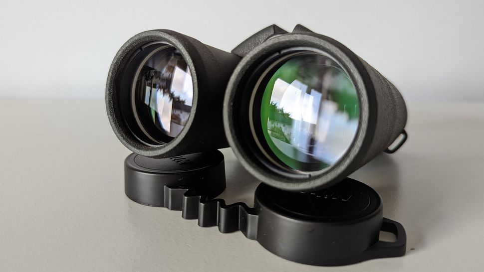 The best binoculars in 2025 for astronomy, wildlife, sports fans, and ...