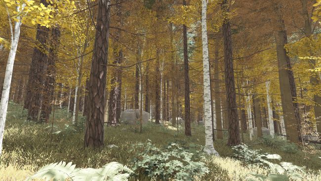 This Valheim world generator helps you discover the perfect seed | PC Gamer