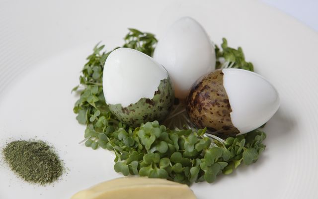 Le Caprice recipe: gull's eggs with celery salt, mustard cress and ...