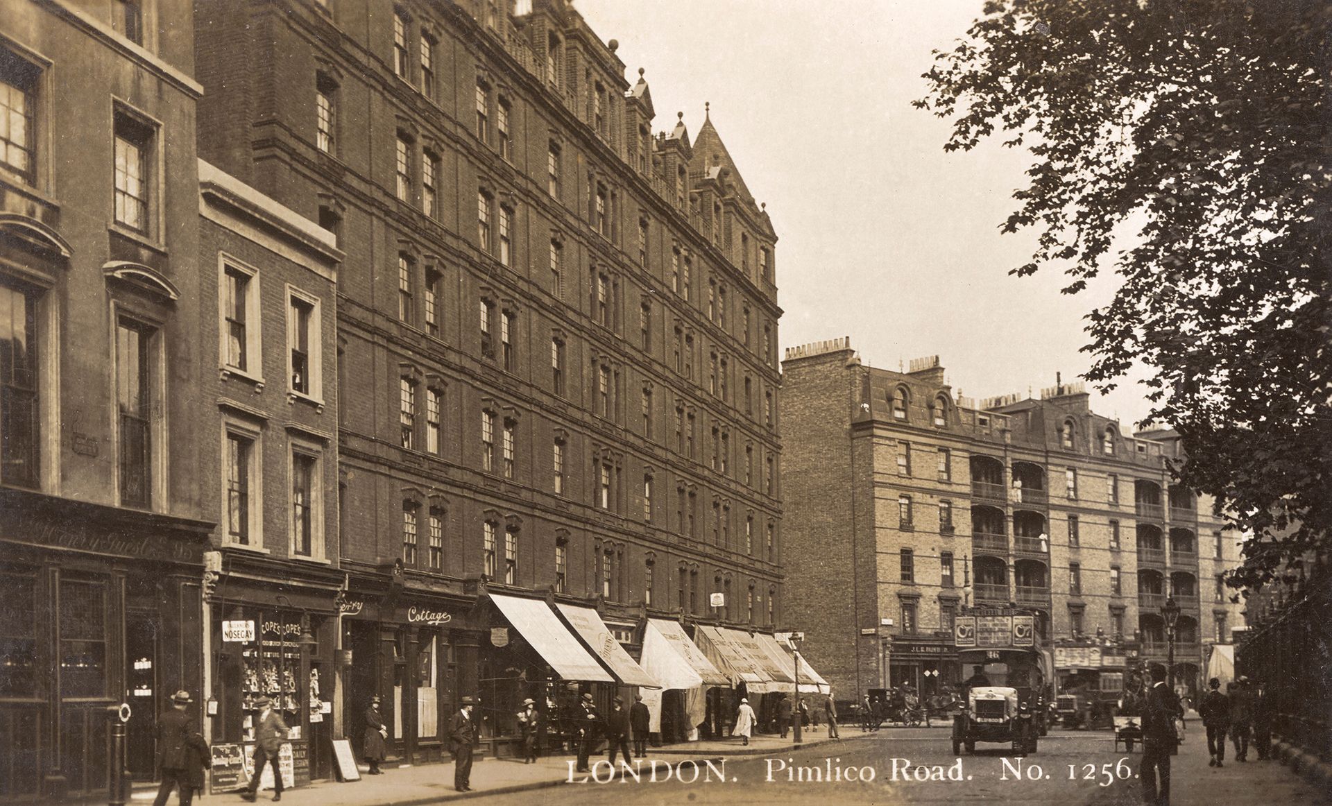In Focus: How Pimlico went from Mozart's playground to a world-famous ...