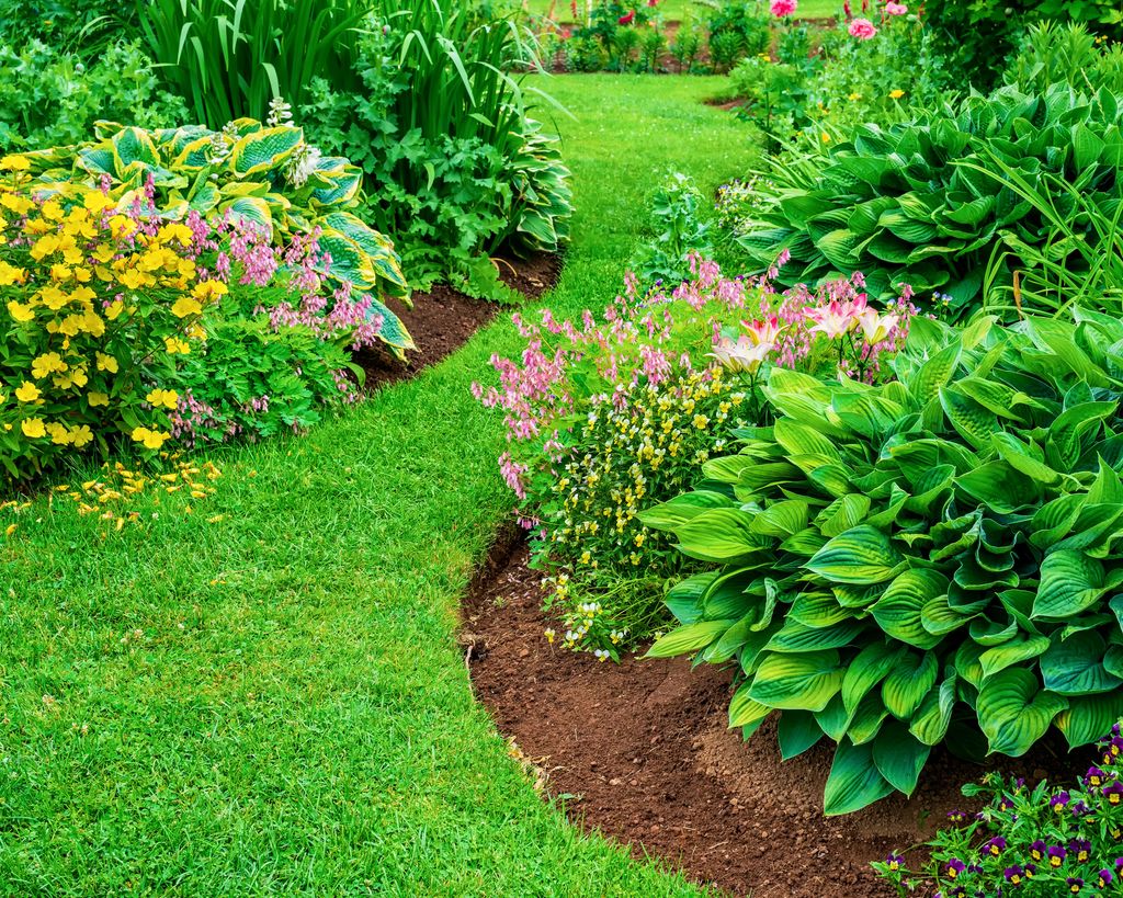 20 flower bed ideas: gorgeous, budget-friendly looks for front and back ...
