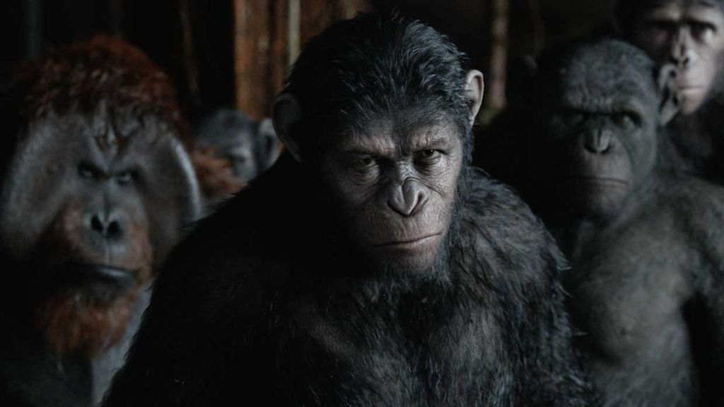 How To Watch The Planet Of The Apes Movies In Order | Cinemablend