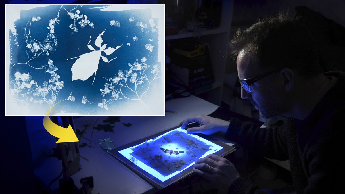 Craft your own cyanotypes at home with this quick and easy setup ...