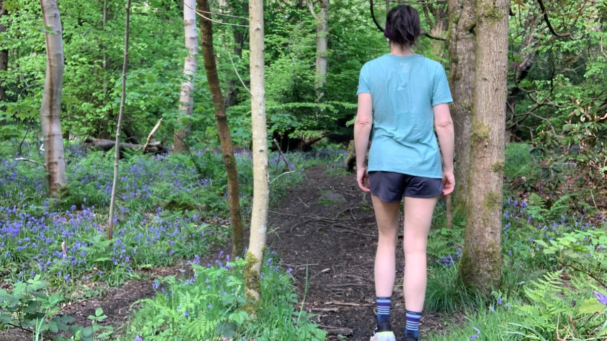 IBEX Springbok Shorts review: cool, comfortable shorts cut with a ...