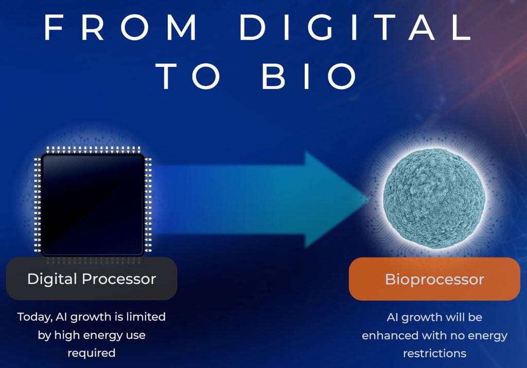 Swiss lab where researchers are working to create computers powered by ...