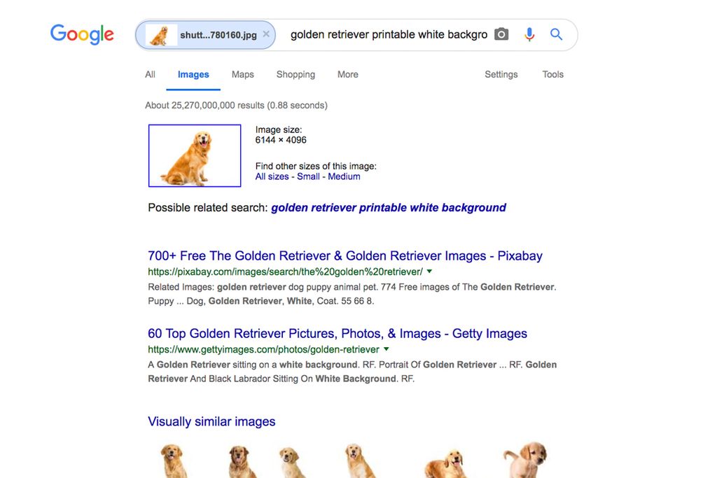 How to reverse image search | TechRadar