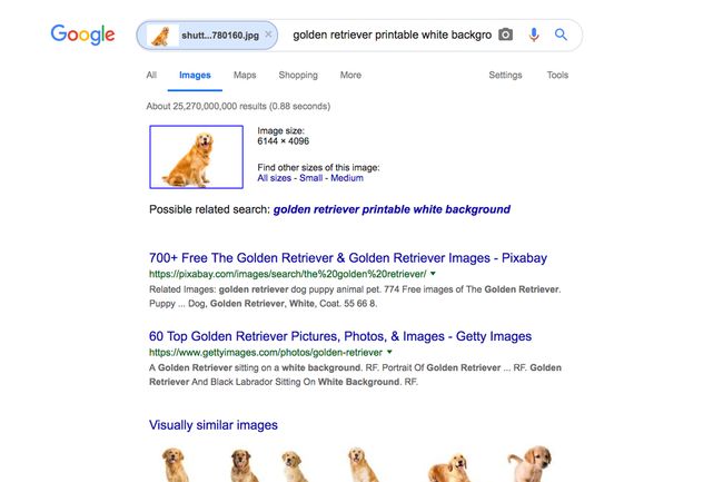 How to reverse image search | TechRadar
